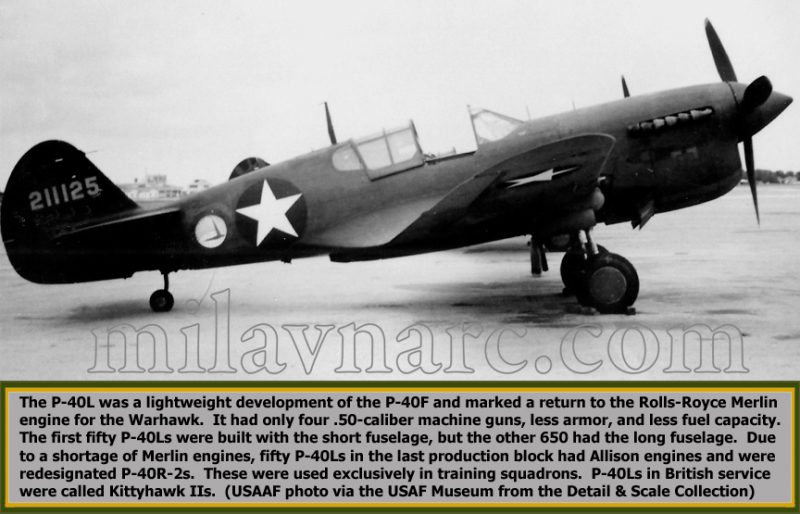 P-40 Warhawk - Detail and Scale