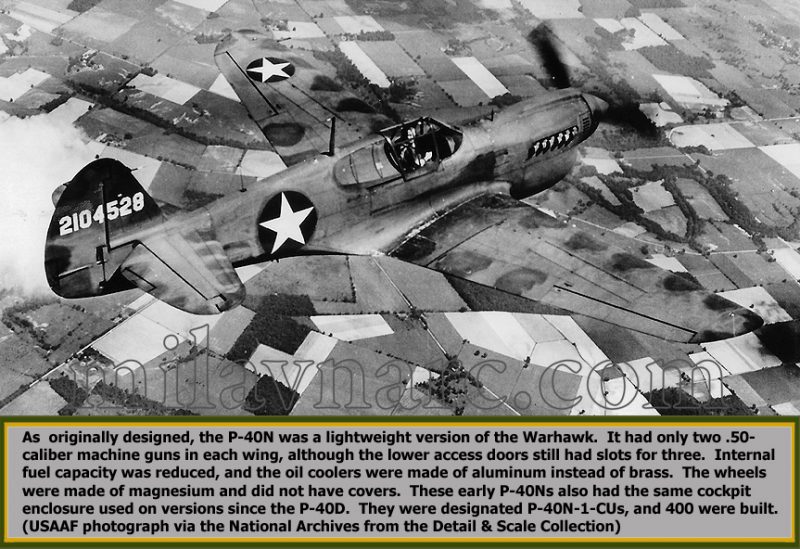 P-40 Warhawk - Detail and Scale