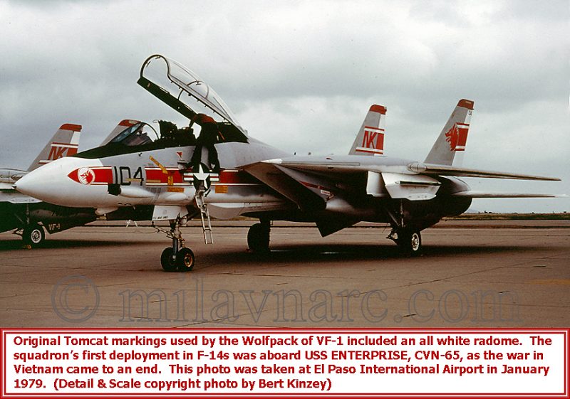F-14 Tomcat - Detail and Scale