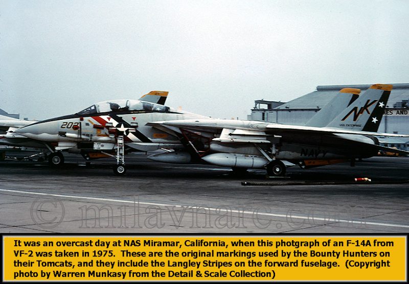 F-14 Tomcat - Detail and Scale