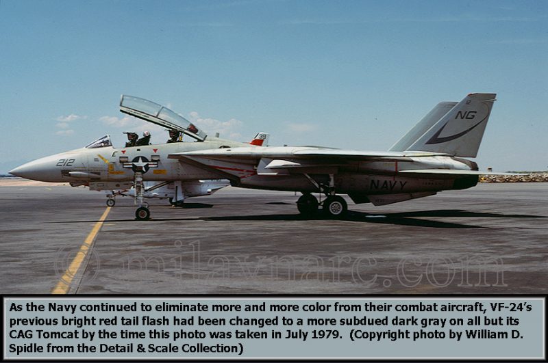 F-14 Tomcat - Detail and Scale