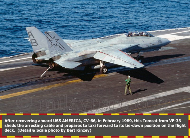 F-14 Tomcat - Detail and Scale