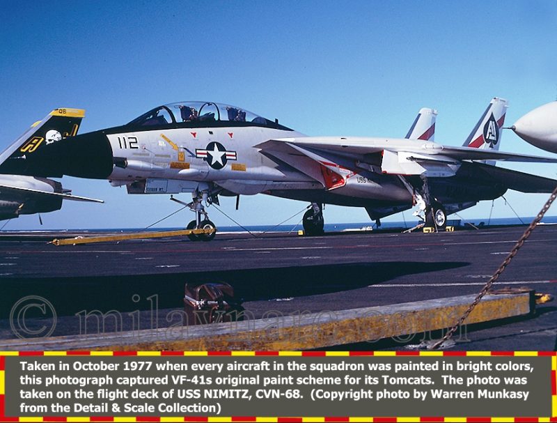 F-14 Tomcat - Detail and Scale