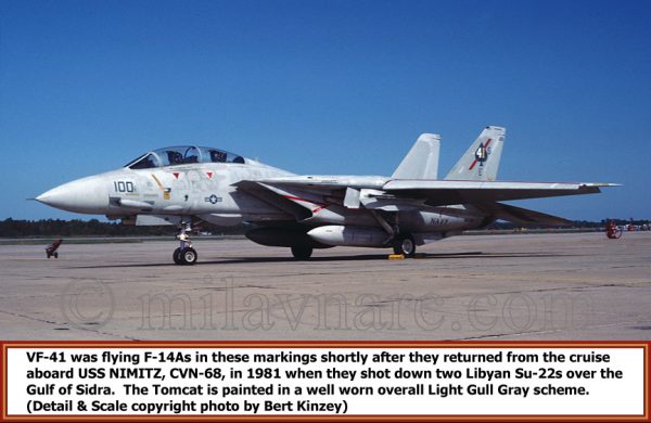 F-14 Tomcat - Detail and Scale