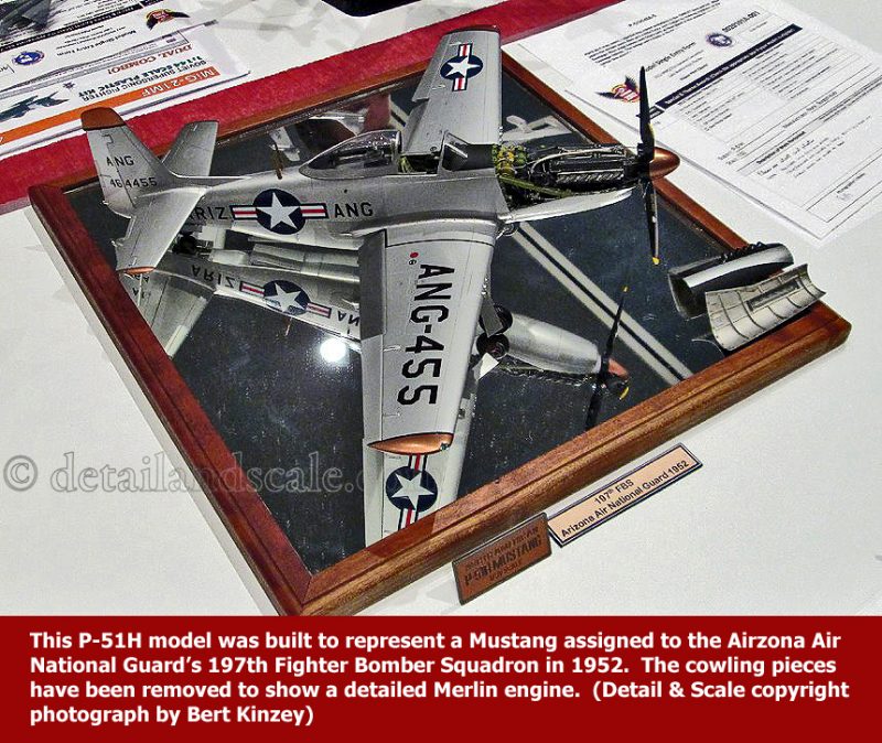 P-51 MUSTANG MODEL PHOTO SET - Detail and Scale