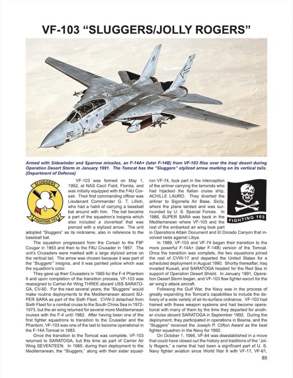 Colors & Markings of the F-14 Tomcat, Part 1: Atlantic Fleet and ...