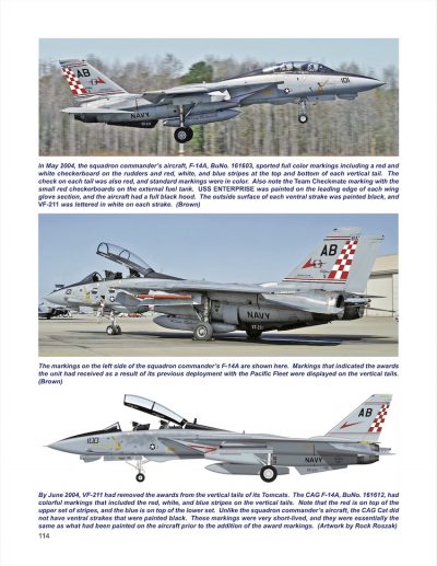 Colors & Markings of the F-14 Tomcat, Part 1: Atlantic Fleet and ...