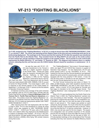 Colors & Markings of the F-14 Tomcat, Part 1: Atlantic Fleet and ...