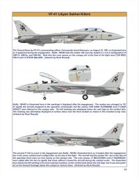 Colors & Markings of the F-14 Tomcat, Part 1: Atlantic Fleet and ...