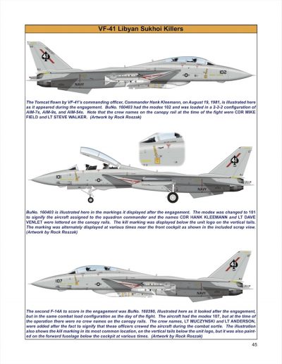 Colors & Markings of the F-14 Tomcat, Part 1: Atlantic Fleet and ...