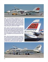 Colors & Markings of the F-14 Tomcat, Part 1: Atlantic Fleet and ...