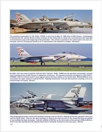 Colors & Markings of the F-14 Tomcat, Part 2: Pacific Fleet and Reserve ...