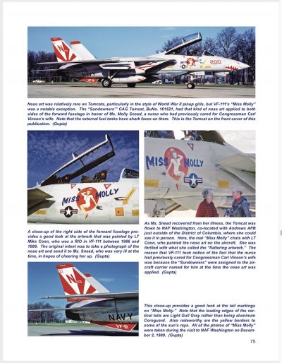 Colors & Markings of the F-14 Tomcat, Part 2: Pacific Fleet and Reserve ...