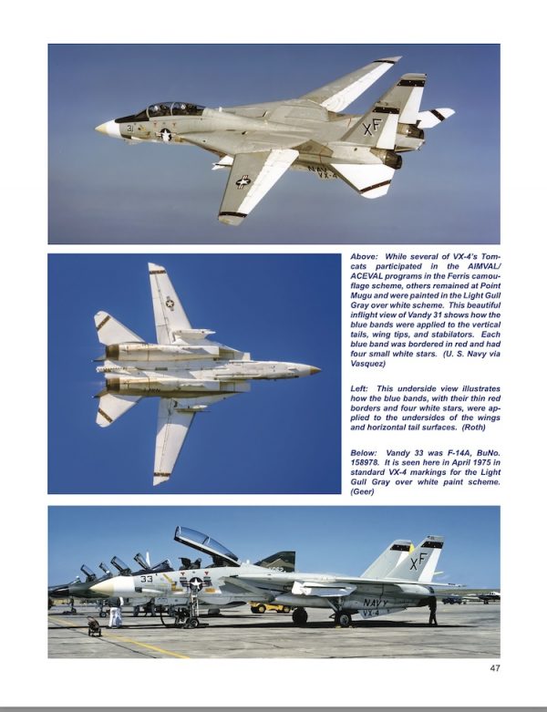 Colors & Markings of the F-14 Tomcat, Part 3: Prototypes, Test, Eval ...