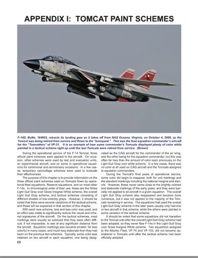 Colors & Markings of the F-14 Tomcat, Part 3: Prototypes, Test, Eval ...