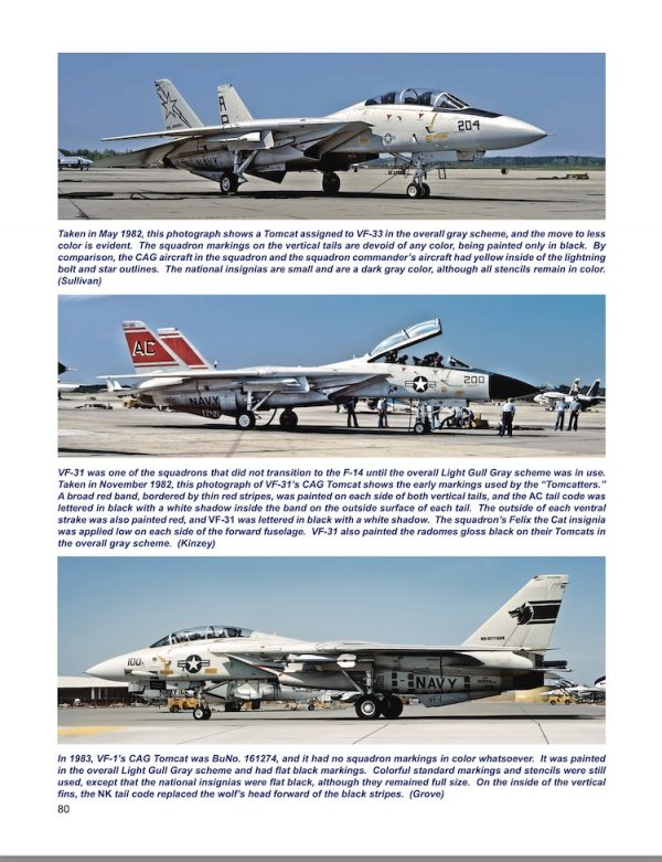 Colors & Markings of the F-14 Tomcat, Part 3: Prototypes, Test, Eval ...