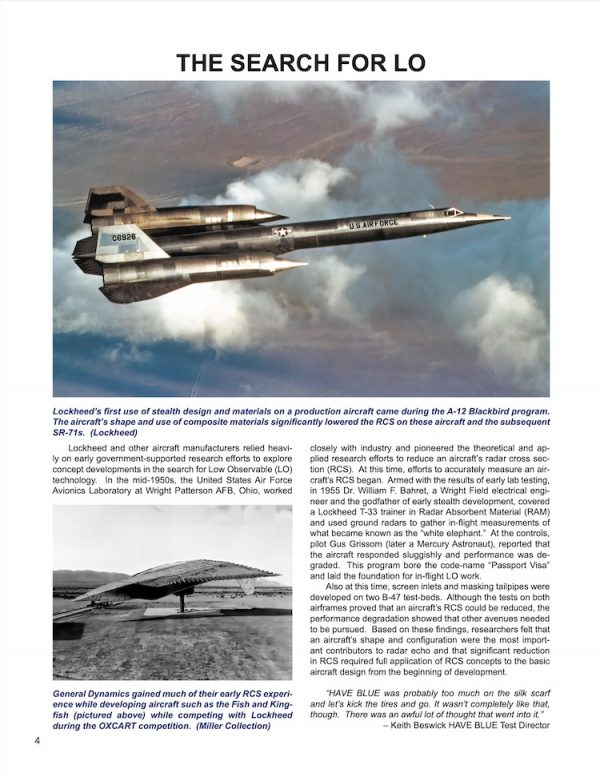 F-117 Nighthawk Stealth Fighter: An Illustrated Developmental History ...