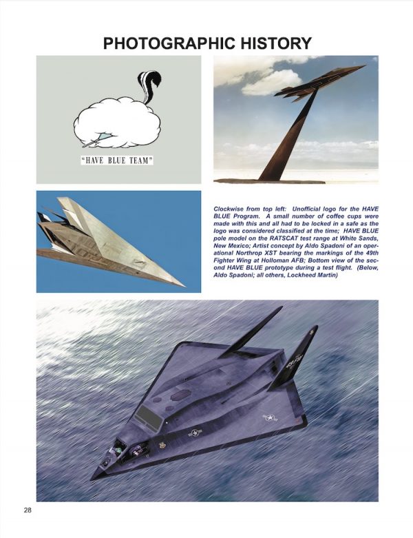 F-117 Nighthawk Stealth Fighter: An Illustrated Developmental History ...